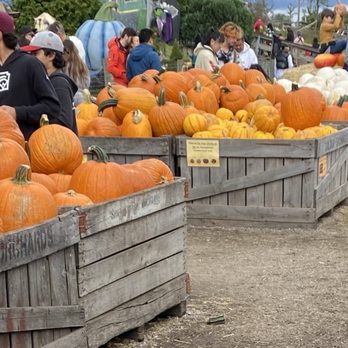 LINVILLA ORCHARDS - Updated September 2024 - 1100 Photos & 470 Reviews ...