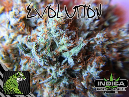 GREEN TIGER MARIJUANA DELIVERY - 24 Photos - Cannabis Dispensaries ...