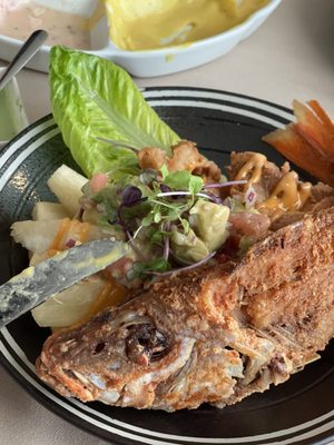 JALEA PERUVIAN CUISINE - Updated May 2025 - 285 Photos & 204 Reviews ...