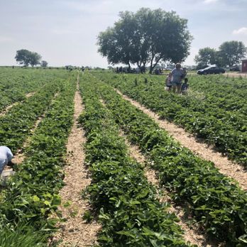 HEIDER’S BERRY FARM - Updated December 2025 - 38 Photos & 17 Reviews ...