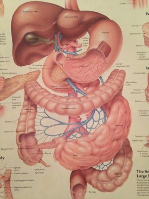 COLONICS PLUS COMPLETE CARE MASSAGE OF SYRACUSE - Updated October 2025 ...