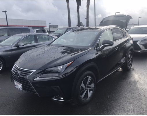 FREEMAN LEXUS - Updated July 2025 - 29 Photos & 180 Reviews - 2845 ...