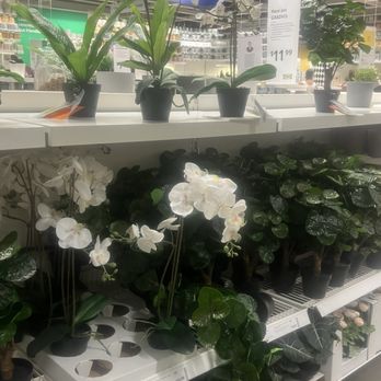 IKEA - Updated December 2025 - 1471 Photos & 938 Reviews - 2110 W Ikea ...