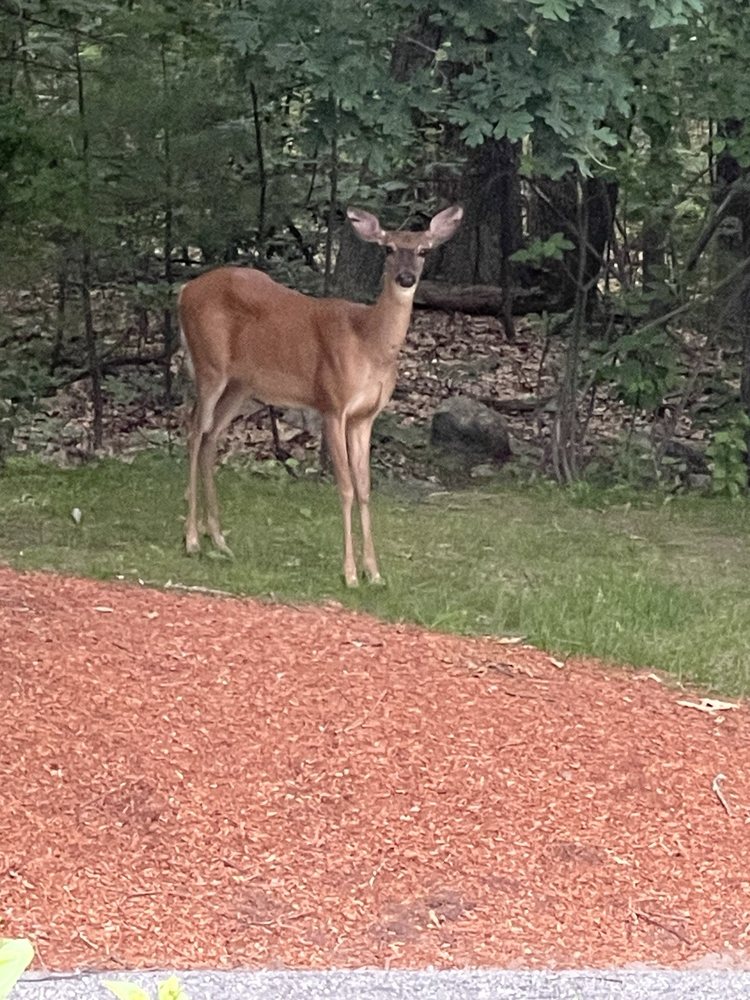 LIME KILN QUARRY - Updated September 2025 - Lime Kiln, Chelmsford ...
