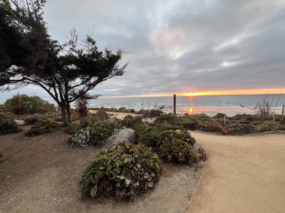 SEA CLIFF PARK - Updated January 2026 - 1494 S Coast Hwy 101, Encinitas ...