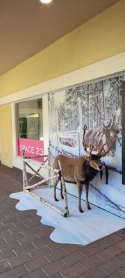 FLOWER HILL PROMENADE - Updated November 2024 - 201 Photos & 51 Reviews ...