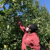 Butler’s Orchard - 514 Photos & 307 Reviews - Farmers Market - 22222 ...