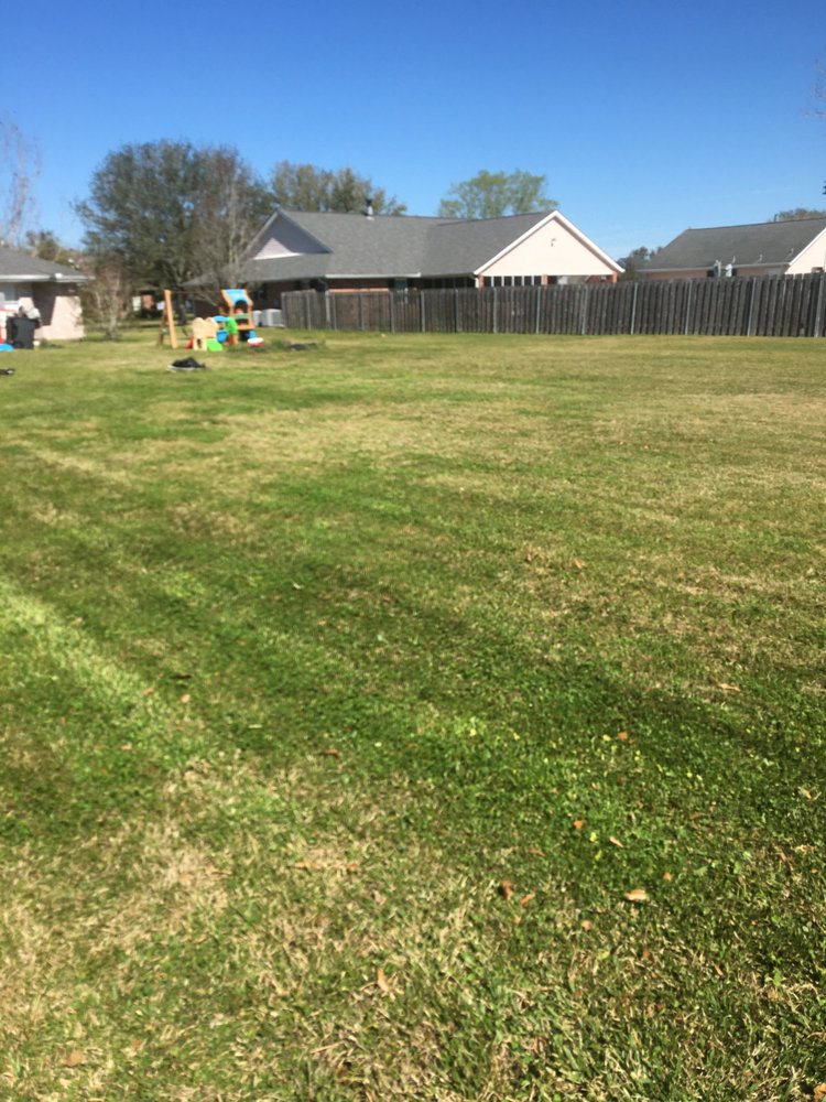 CTB LAWN SERVICES - Updated October 2024 - Request a Quote - Thibodaux, Louisiana - Lawn ...