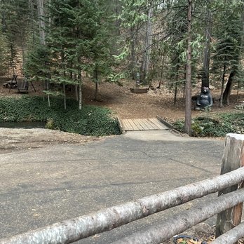 LITTLE BEAR TREE FARM - Updated November 2025 - 46 Photos & 29 Reviews ...