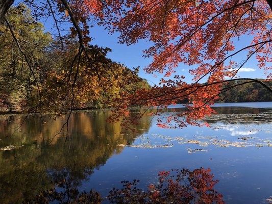 TEATOWN LAKE RESERVATION - 78 Photos & 26 Reviews - Hiking - 1600 ...