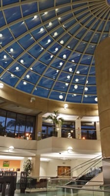 SDSU UNIVERSITY LIBRARY - Updated September 2025 - 42 Photos & 48 ...