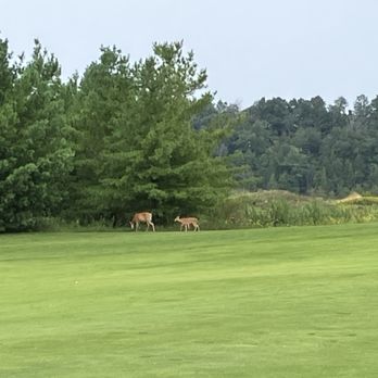 GREY SILO GOLF CLUB - Updated December 2025 - 2001 University Avenue ...