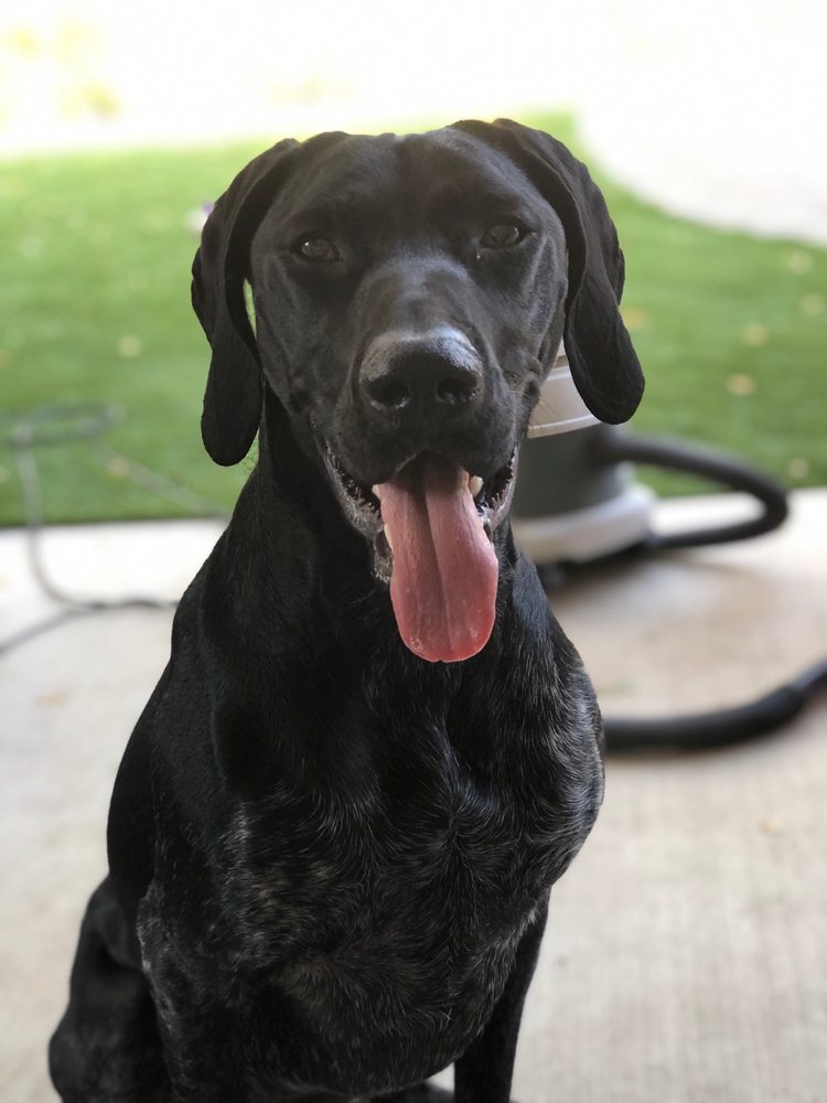 CAMP LISA - Updated November 2024 - 36 Photos & 53 Reviews - 1550 ...