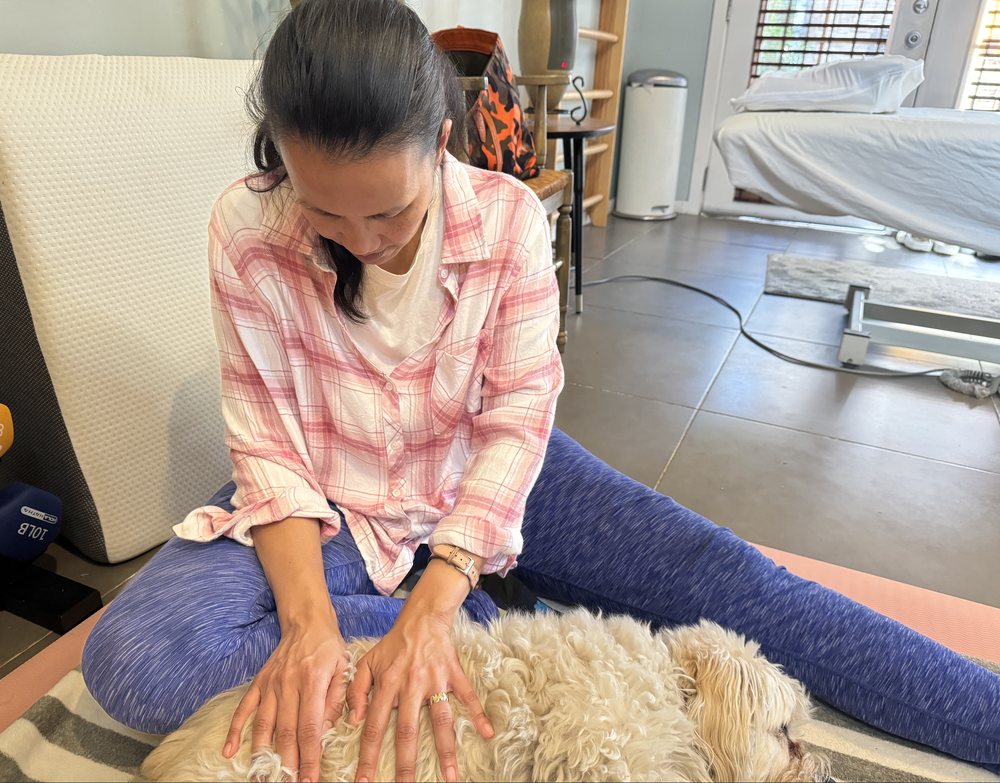 BE WELL THERAPY - Updated December 2025 - 10 Photos & 17 Reviews - Los ...