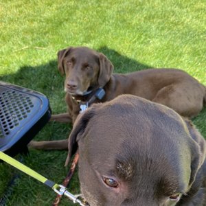 KELLY’S ROOTS CAFE & MARKETPLACE - 70 Photos & 50 Reviews - 13 1/2 ...