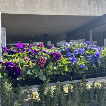 BAMBOO NURSERY & GARDEN SUPPLIES - Updated April 2025 - 18 Photos ...