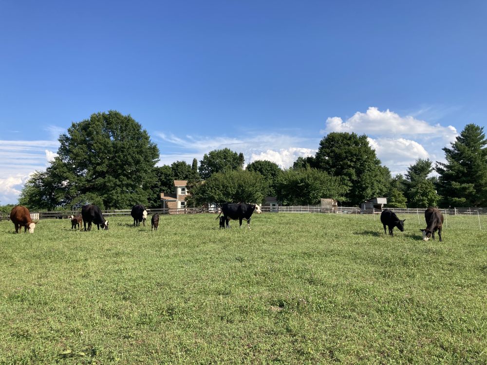 SILVER KEY RANCH - Updated March 2025 - 24 Photos - 11311 Barnes Rd ...