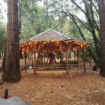 NORTH STAR TREE FARM - Updated December 2024 - 58 Photos & 31 Reviews ...