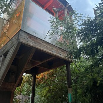 FOREST ROOM 5 - Updated October 2024 - 226 Photos & 792 Reviews - 2532 ...