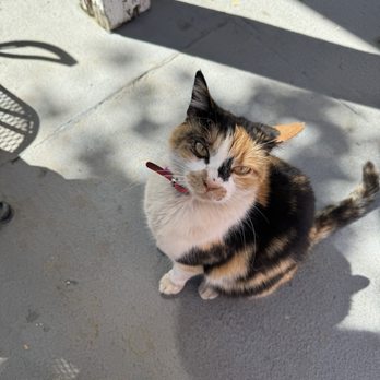 THE ORANGE WORKS - Updated November 2025 - 250 Photos & 340 Reviews ...