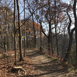 SOUTH SHELL PARK - 3376 Lakeshore Rd W, Oakville, Ontario - Parks - Yelp