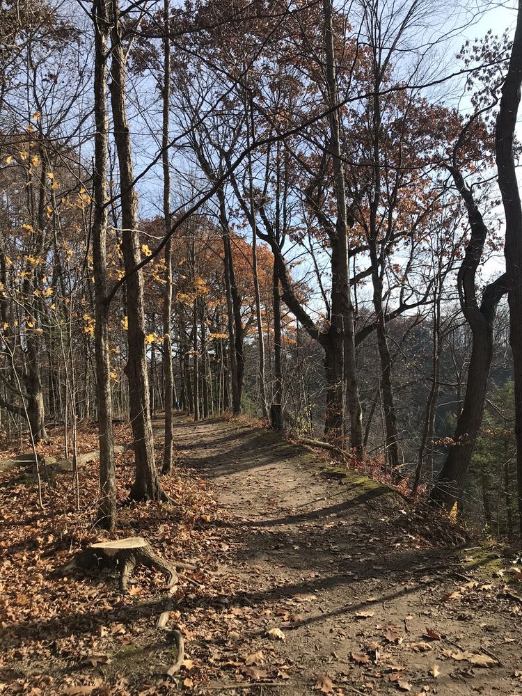 SPENCER GORGE CONSERVATION AREA - Updated November 2024 - 36 Photos ...