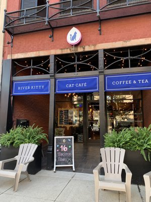 RIVER KITTY CAT CAFE - 125 Photos & 50 Reviews - 226 Main St ...