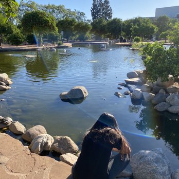 CSUN POND - Updated October 2025 - 337 Photos & 84 Reviews - 18111 ...