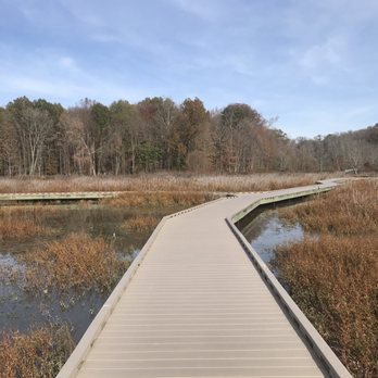 HUNTLEY MEADOWS PARK - Updated December 2024 - 384 Photos & 113 Reviews ...