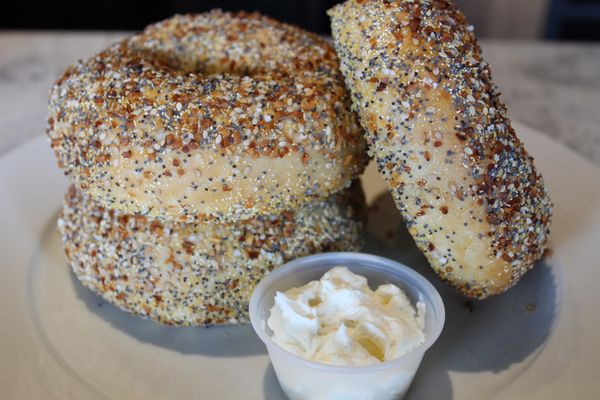 FANCY BAGELS - Updated December 2024 - 16 Photos - 587 College Hwy ...