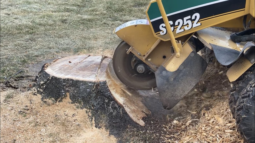 ACME MAINTENANCE - Updated May 2025 - Green Bay, Wisconsin - Tree ...