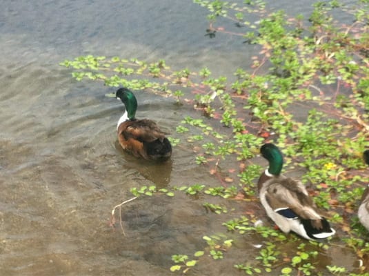 SUNDALE COUNTRY CLUB - Updated September 2025 - 18 Photos & 21 Reviews ...