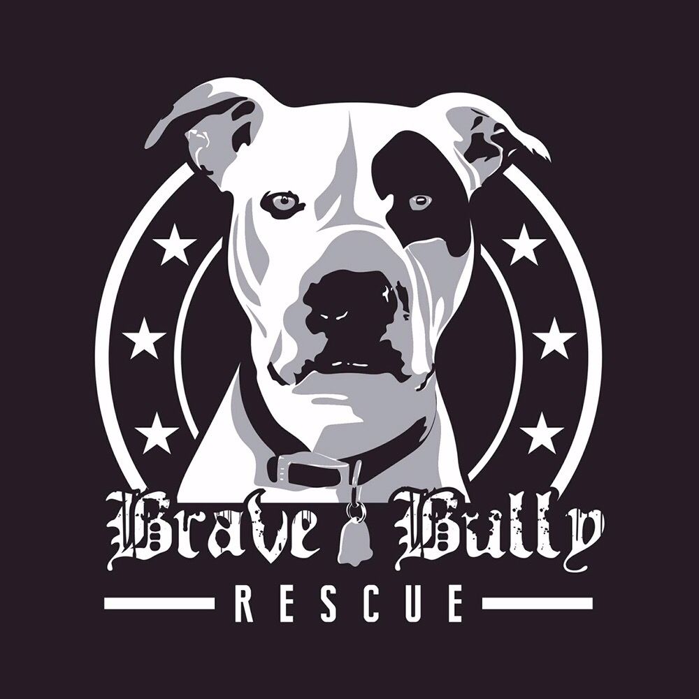BRAVE BULLY RESCUE - 28 Photos - Houston, Texas - Pet Adoption - Yelp