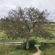 GROESBECK HILL PARK - 106 Photos & 35 Reviews - Klein And Norwood, San ...