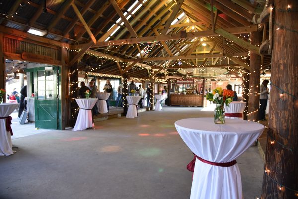 BAYOU BARN | 54 Photos - 7145 Barataria Blvd, Marrero, Louisiana ...