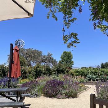 ROBLAR WINERY - Updated July 2024 - 661 Photos & 428 Reviews - 3010 ...