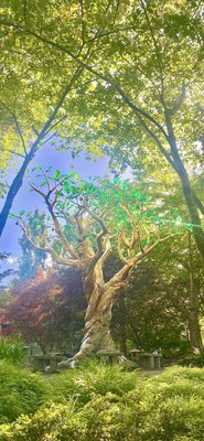 CLEARBROOK LIBRARY - Updated December 2025 - 15 Photos - 32320 George ...