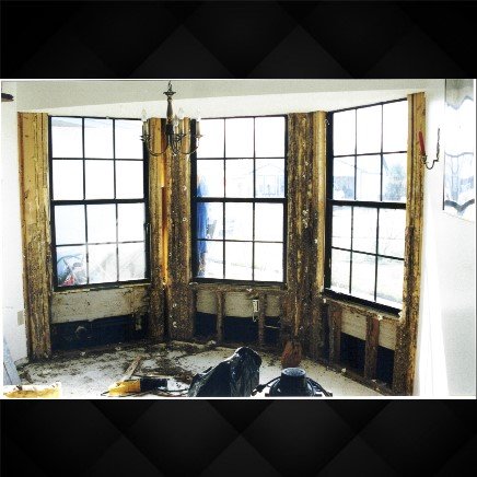 BUGX EXTERMINATORS - Updated January 2025 - 4100 Black Oak Trl, Spring ...