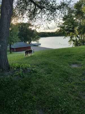 FISH LAKE ACRES CAMPGROUND - 11 Photos - Campgrounds - 3000 210th St E ...