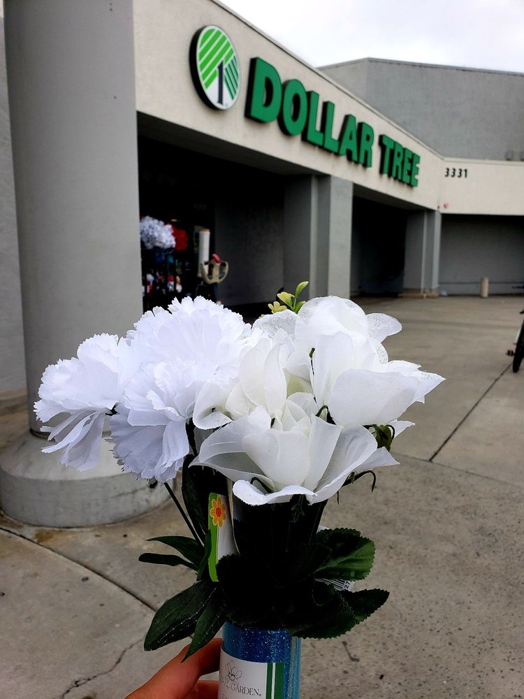 DOLLAR TREE - Updated August 2024 - 55 Photos & 83 Reviews - 3337 ...