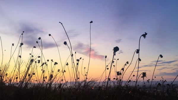 BLUFF TRAIL PARK - 63 Photos & 14 Reviews - Parks - 1 W Bluff, Playa ...