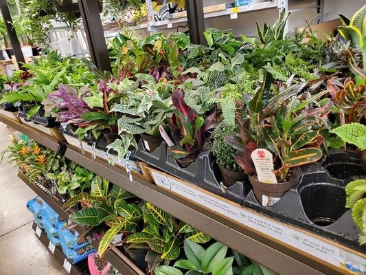 LOWE’S HOME IMPROVEMENT - Updated January 2026 - 15 Photos - 940 N ...