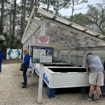 GULF SPECIMEN MARINE LABORATORIES - Updated October 2025 - 60 Photos ...