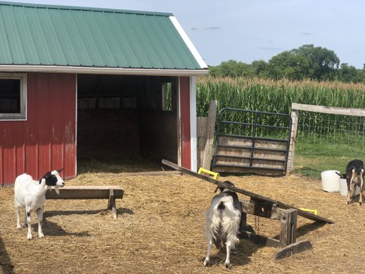 CROOKED CREEK FARM DAIRY - 19 Photos - Farmers Market - 75960 Brown Rd ...