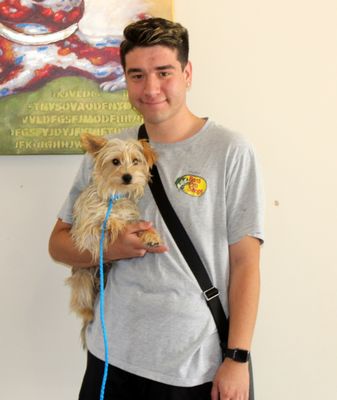 YUCCA VALLEY ANIMAL SHELTER - Updated July 2025 - 153 Photos - 4755 ...