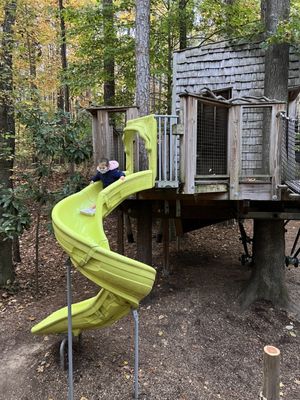 MUSEUM OF LIFE AND SCIENCE - Updated November 2025 - 521 Photos & 241 ...