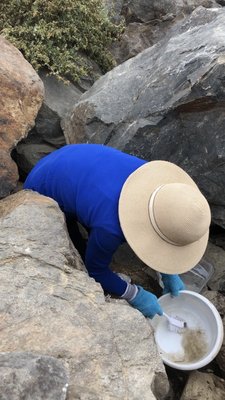 CAT JETTY - Updated January 2025 - 150 Photos & 13 Reviews - 2510 ...