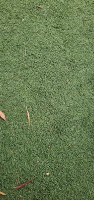 HIGH TECH HIGH NORTH COUNTY - Updated December 2025 - 11 Reviews - 1420 ...