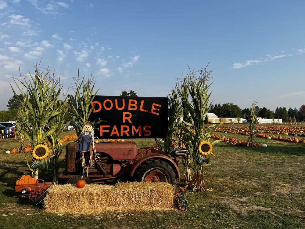 DOUBLE R FARMS PUMPKIN PATCH - Updated October 2024 - 64 Photos & 14 ...