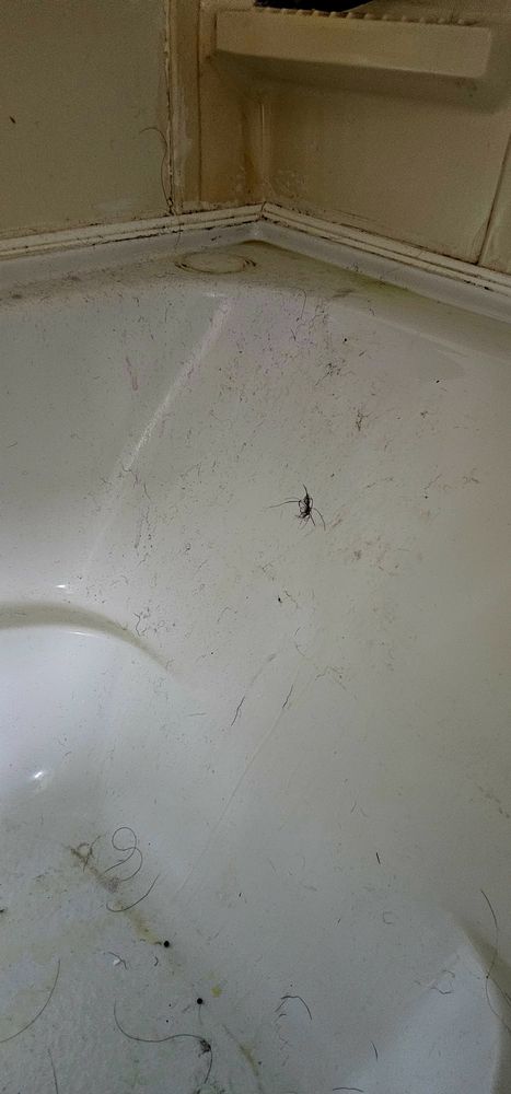 TOP NOTCH SOLUTIONS - Updated May 2024 - 9651 229 Street Northwest ...